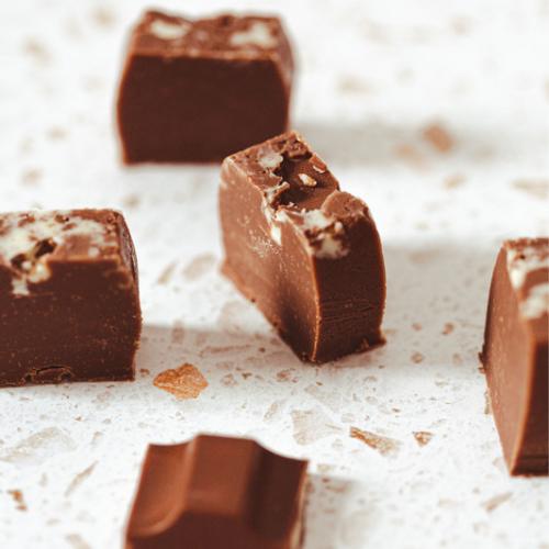 Chocolate Bar Filled Fudge Tray – Jurassic Fudge